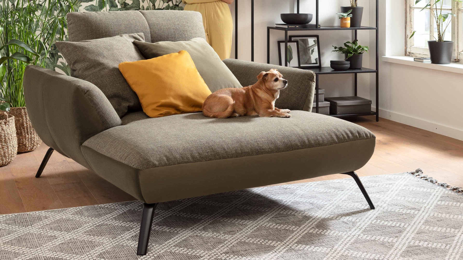 Wohnland Breitwieser Mobel A Z Sofa Couch ALLE Sofa Couch KAWOO Ohrensessel KARE KAWOO Polsterprogramm Dover XC Loveseat Stoffkombination Riviera Olive Amsterdam Khaki